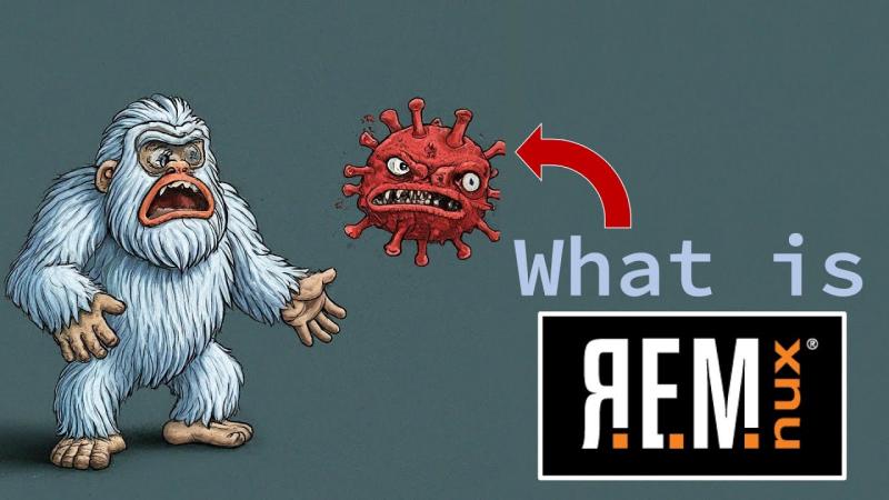 Josh Stroschein on LinkedIn: What is REMnux? Getting Started with the ... Josh Stroschein on LinkedIn: What is REMnux? Getting Started with the ...