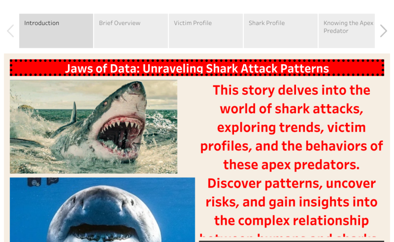 Abhishek Thapa on LinkedIn: Shark Attack Final Project Abhishek Thapa on LinkedIn: Shark Attack Final Project