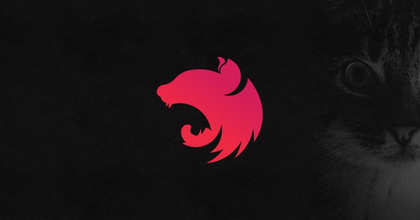 Documentation - NestJS - Un framework progressif Node.js | NestJS FR Documentation - NestJS - Un framework progressif Node.js | NestJS FR