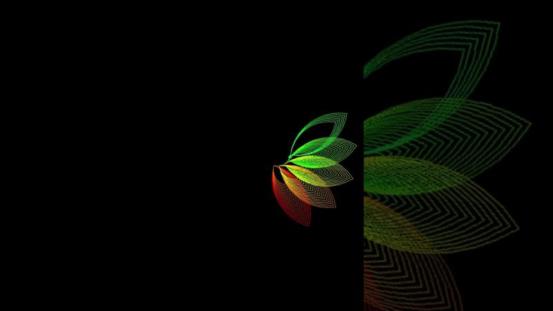 Amazing Flower Design using Python turtle 🐢 #python #coding #funny # ... Amazing Flower Design using Python turtle 🐢 #python #coding #funny # ...
