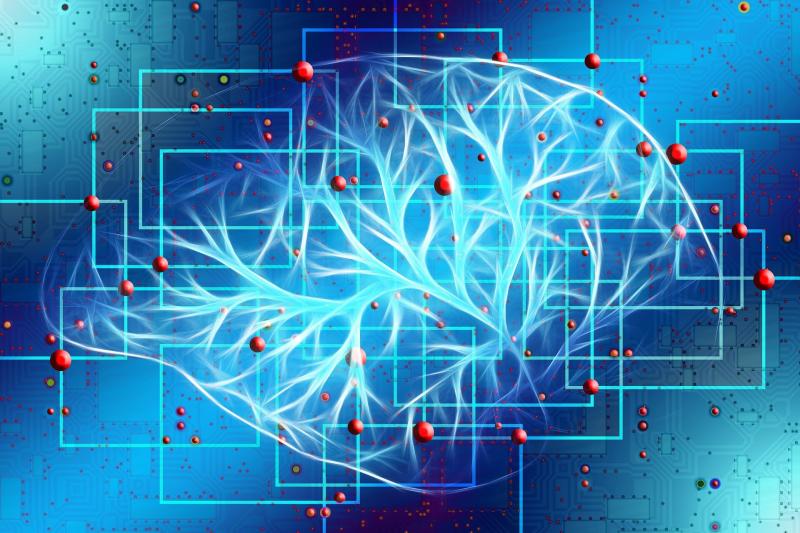 Vance Arocho on LinkedIn: Study reveals a universal pattern of brain ... Vance Arocho on LinkedIn: Study reveals a universal pattern of brain ...