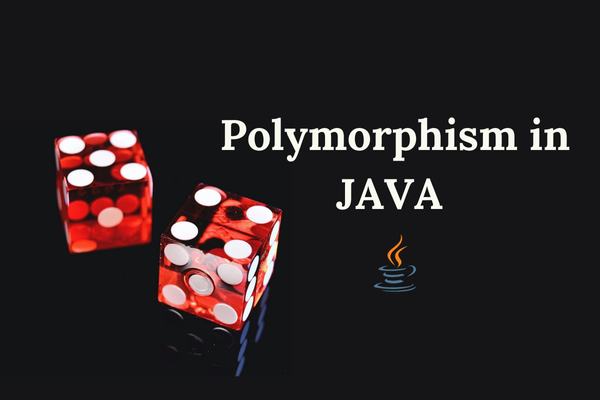 Sanduni Lakshika on LinkedIn: Java OOP Essentials: A Beginner’s ... Sanduni Lakshika on LinkedIn: Java OOP Essentials: A Beginner’s ...