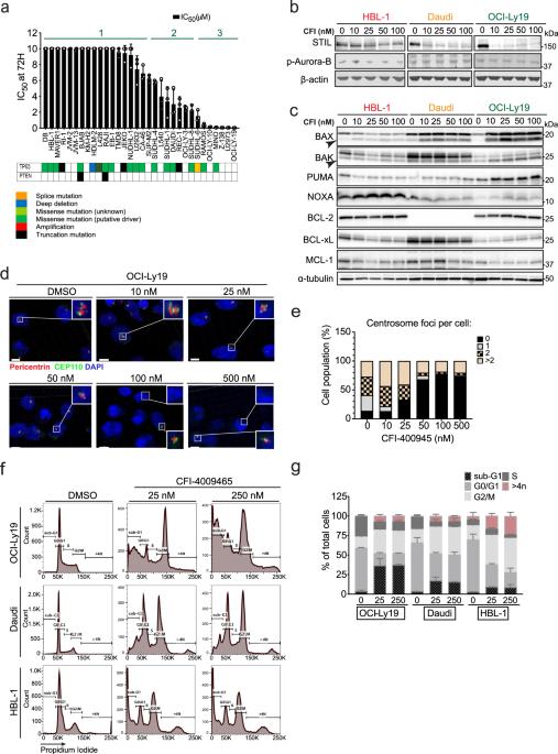 Prathibha Mohan on LinkedIn: Synthetic lethality of drug-induced ... Prathibha Mohan on LinkedIn: Synthetic lethality of drug-induced ...