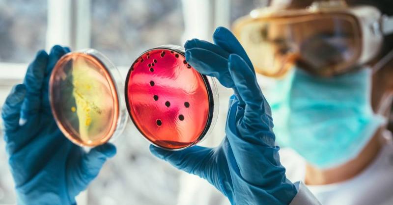 Reducing antibiotics does not reverse antimicrobial resistance ... Reducing antibiotics does not reverse antimicrobial resistance ...