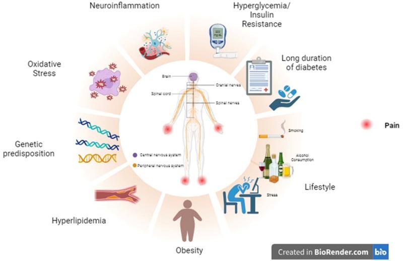 Mankala Sree Lalitha on LinkedIn: Diabetic neuropathy: understanding ... Mankala Sree Lalitha on LinkedIn: Diabetic neuropathy: understanding ...
