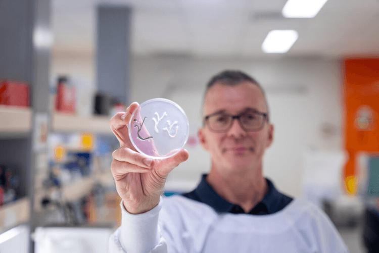 John Guanjing Zhang on LinkedIn: Revolutionary Nasal Nerve Cell ... John Guanjing Zhang on LinkedIn: Revolutionary Nasal Nerve Cell ...