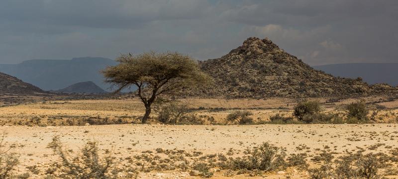 Bashir Said Hassan on LinkedIn: Green Climate Fund and Somalia ... Bashir Said Hassan on LinkedIn: Green Climate Fund and Somalia ...