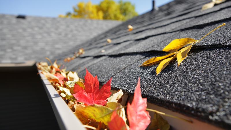 Mike Falkenberg on LinkedIn: Prepping Your Home for Fall: Essential ... Mike Falkenberg on LinkedIn: Prepping Your Home for Fall: Essential ...