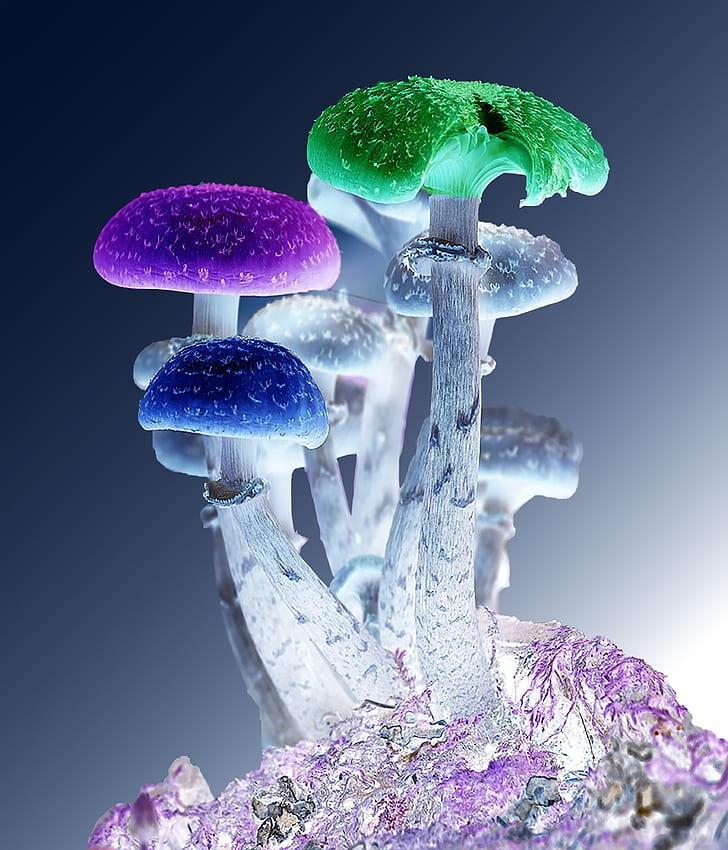 John Guanjing Zhang on LinkedIn: Psychedelics and Alzheimer's: A New ... John Guanjing Zhang on LinkedIn: Psychedelics and Alzheimer's: A New ...