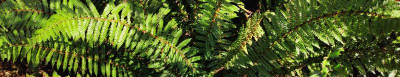 Landscapes For Our Future on LinkedIn: Empowering sustainable ... Landscapes For Our Future on LinkedIn: Empowering sustainable ...