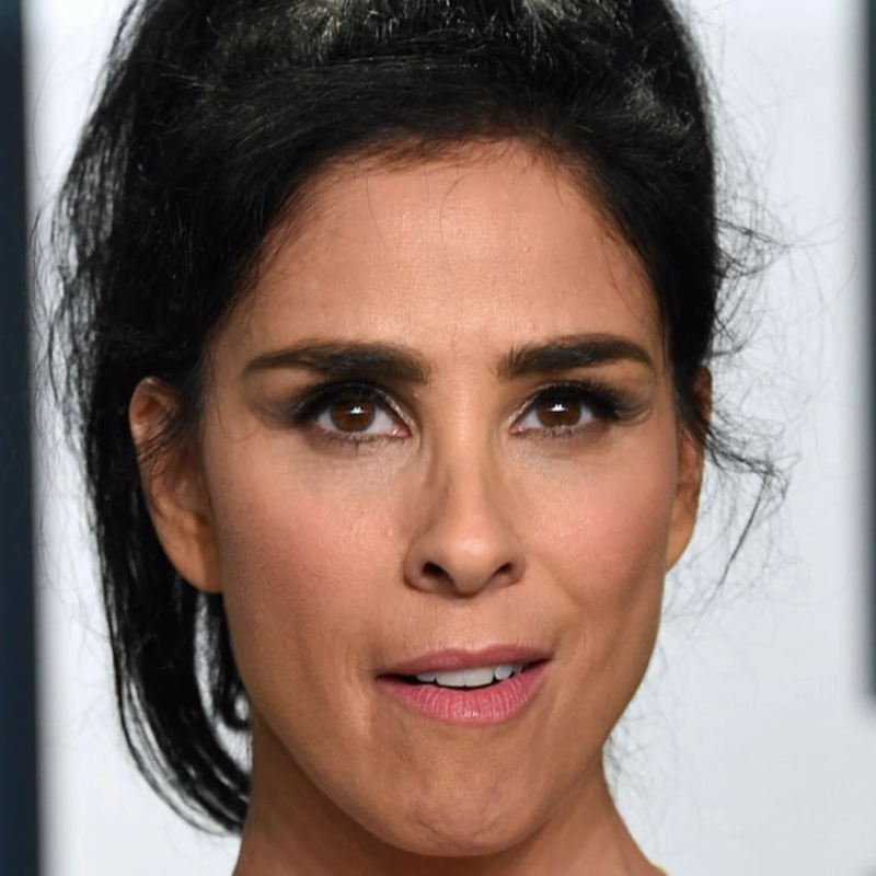 Belveal UX Architect, Futurist Artist on LinkedIn: Sarah Silverman sues ... Belveal UX Architect, Futurist Artist on LinkedIn: Sarah Silverman sues ...