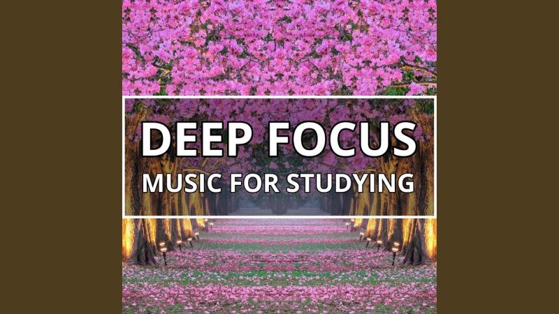 Study Music Alpha Waves ~ Brain Power, Relaxing Studying Music, Focus ... Study Music Alpha Waves ~ Brain Power, Relaxing Studying Music, Focus ...