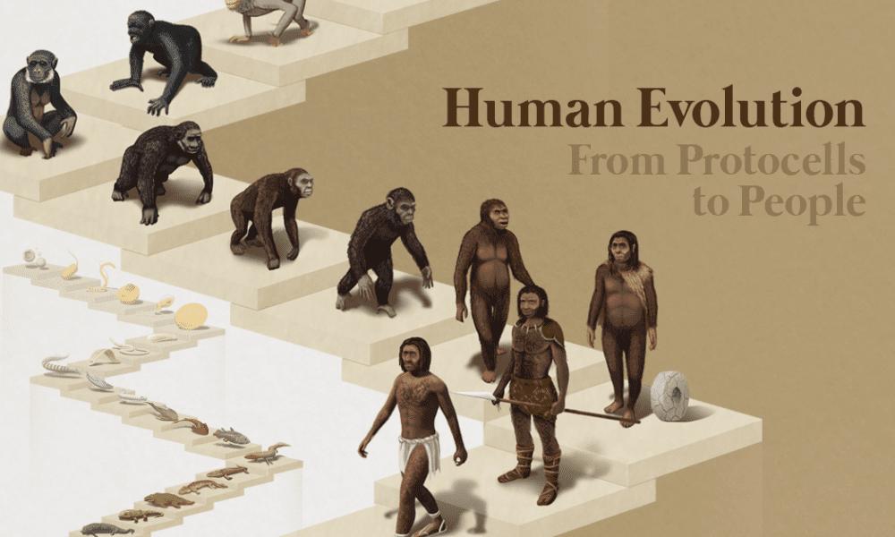 Peter Elkins on LinkedIn: Visualized: The 4 Billion Year Path of Human ... Peter Elkins on LinkedIn: Visualized: The 4 Billion Year Path of Human ...