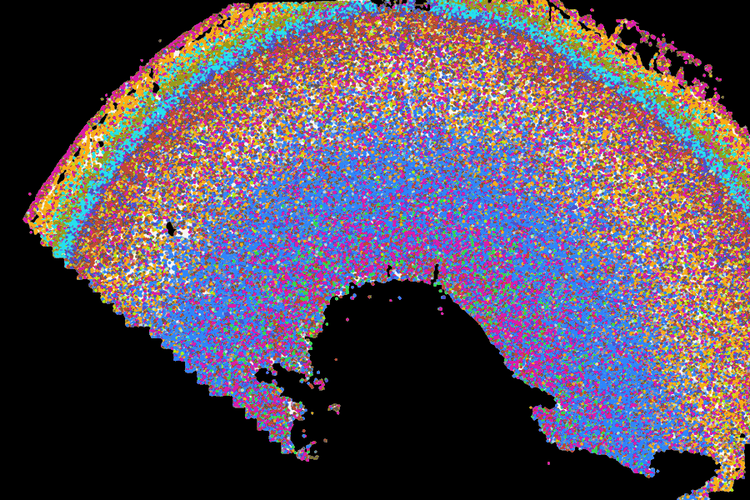 John Guanjing Zhang on LinkedIn: Genes That Grow a Healthy Brain Could ... John Guanjing Zhang on LinkedIn: Genes That Grow a Healthy Brain Could ...