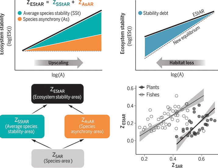 Unifying spatial scaling laws of biodiversity and ecosystem stability ... Unifying spatial scaling laws of biodiversity and ecosystem stability ...