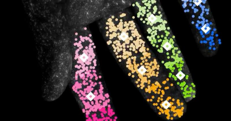 WEBFI Net on LinkedIn: La Jolla researchers develop new AI model to ... WEBFI Net on LinkedIn: La Jolla researchers develop new AI model to ...