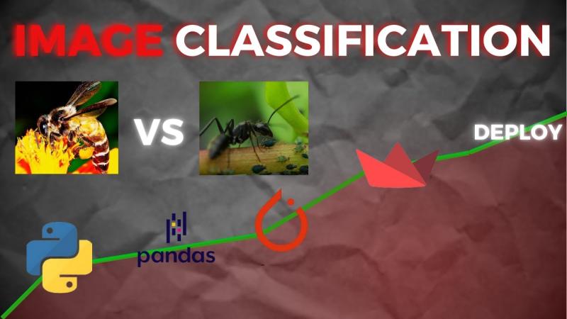 Build PyTorch Model from Scratch | CNN | End To End Project | NITIN SAINI Build PyTorch Model from Scratch | CNN | End To End Project | NITIN SAINI