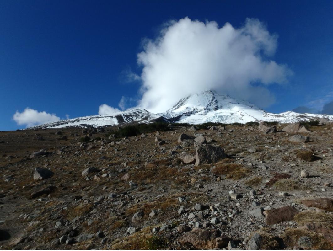 Melting glaciers, shifting waters: Unveiling the impact of alpine ... Melting glaciers, shifting waters: Unveiling the impact of alpine ...