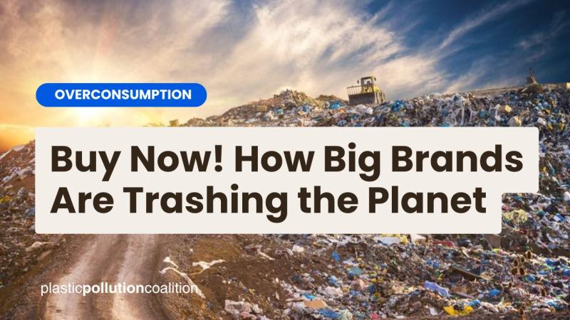 Molly Sears Piccavey on LinkedIn: Buy Now! How Big Brands are Trashing ... Molly Sears Piccavey on LinkedIn: Buy Now! How Big Brands are Trashing ...