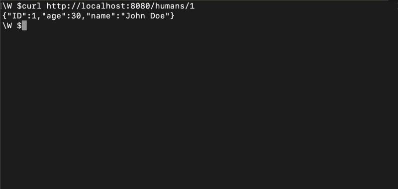 Donald Lutz on LinkedIn: Building REST APIs in Go with Mux and GORM ... Donald Lutz on LinkedIn: Building REST APIs in Go with Mux and GORM ...