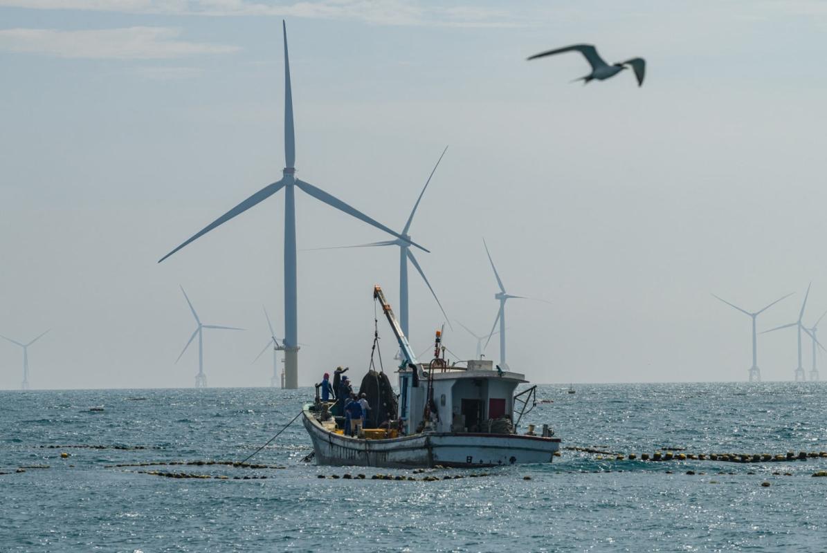 Quynh Nga Le on LinkedIn: Why Are Wind Farm Developers Leaving Taiwan ... Quynh Nga Le on LinkedIn: Why Are Wind Farm Developers Leaving Taiwan ...