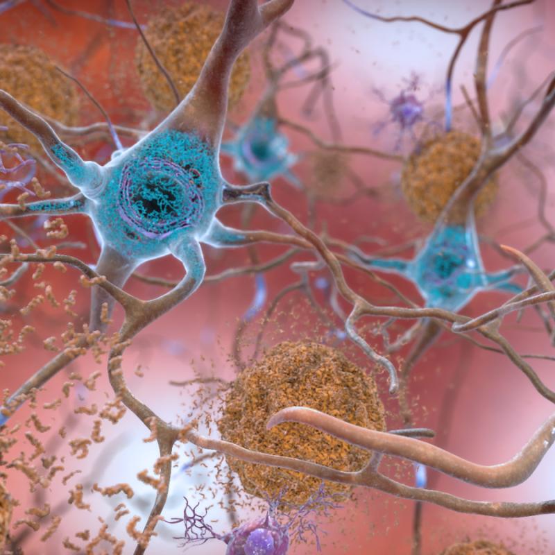 Caleigh Findley, PhD on LinkedIn: Timing hormone therapy with menopause ... Caleigh Findley, PhD on LinkedIn: Timing hormone therapy with menopause ...