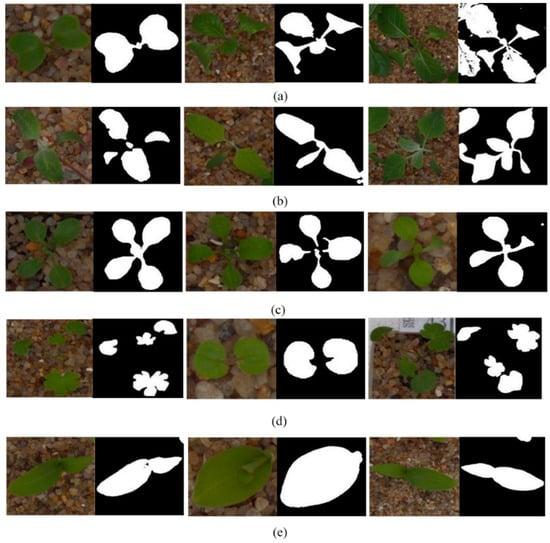 Algorithms MDPI on LinkedIn: Image-to-Image Translation-Based Data ... Algorithms MDPI on LinkedIn: Image-to-Image Translation-Based Data ...
