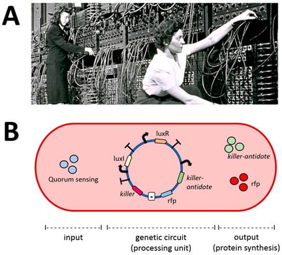New paper on Evolutionary Algorithms in Bacteria | Algorithms MDPI ... New paper on Evolutionary Algorithms in Bacteria | Algorithms MDPI ...