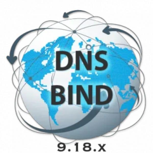 Jai Prakash Sharma on LinkedIn: Setting Up Primary Master DNS with BIND ... Jai Prakash Sharma on LinkedIn: Setting Up Primary Master DNS with BIND ...