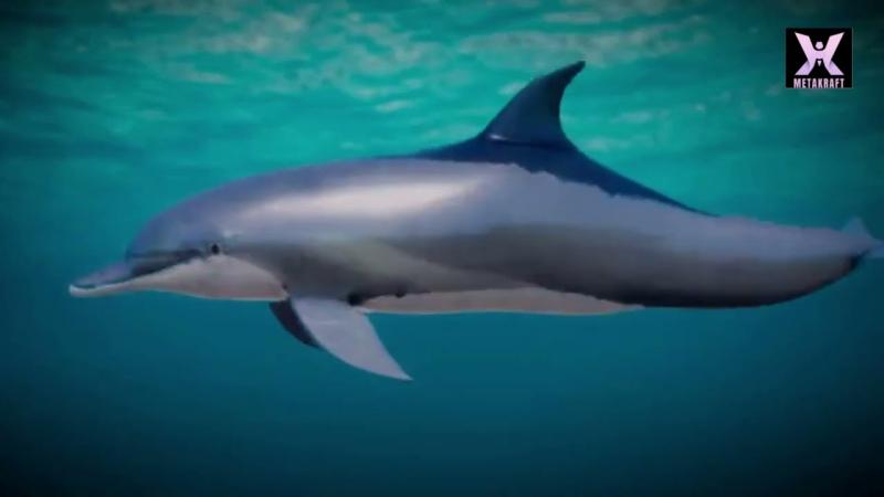 Metakraft's Underwear Aquatic Experience | Srikanth Kanuri posted on ... Metakraft's Underwear Aquatic Experience | Srikanth Kanuri posted on ...