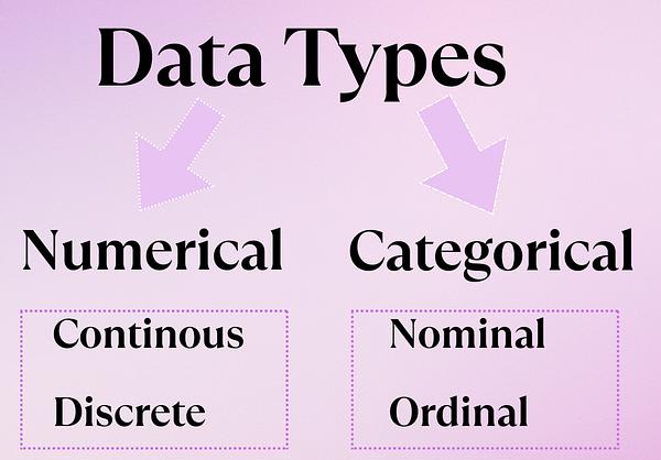 Nadia Urban on LinkedIn: Data Analysis Basics: Data Types Nadia Urban on LinkedIn: Data Analysis Basics: Data Types