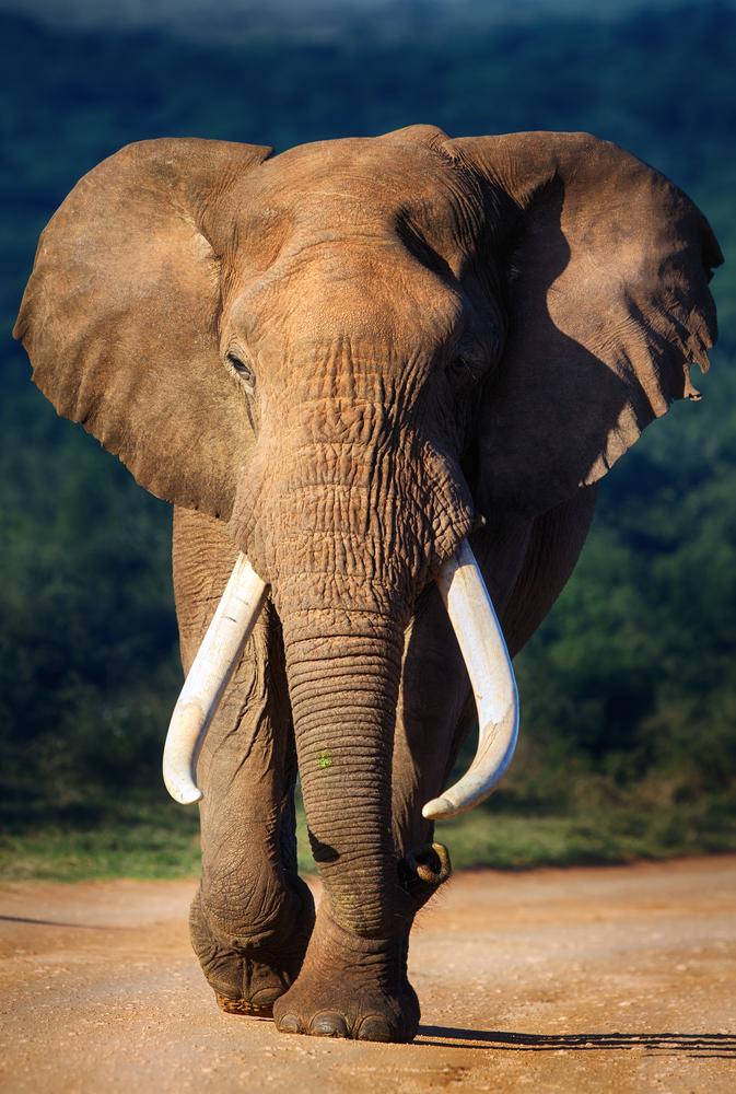 PostgreSQL Locking Mechanisms: Internal Hierarchy Explained | MinervaDB PostgreSQL Locking Mechanisms: Internal Hierarchy Explained | MinervaDB