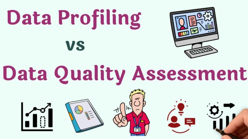 Data Muscle on LinkedIn: 📊 Data Profiling vs Data Quality Assessment ... Data Muscle on LinkedIn: 📊 Data Profiling vs Data Quality Assessment ...