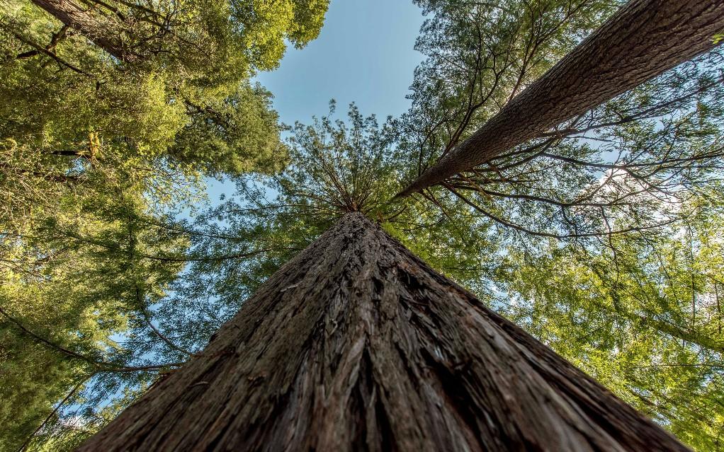Donald Lutz on LinkedIn: Implementing LSM Trees in Golang: A ... Donald Lutz on LinkedIn: Implementing LSM Trees in Golang: A ...