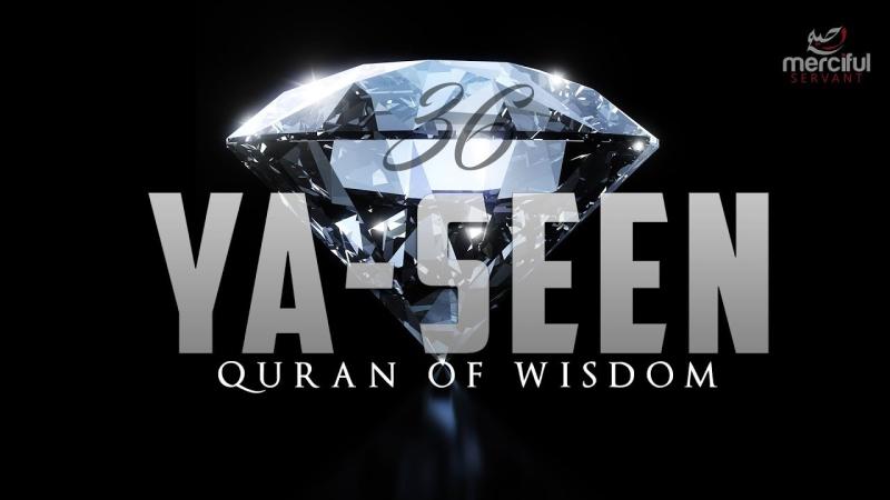 SYED ALI Younus on LinkedIn: SURAH YASEEN (EXTREMELY POWERFUL QURAN) SYED ALI Younus on LinkedIn: SURAH YASEEN (EXTREMELY POWERFUL QURAN)