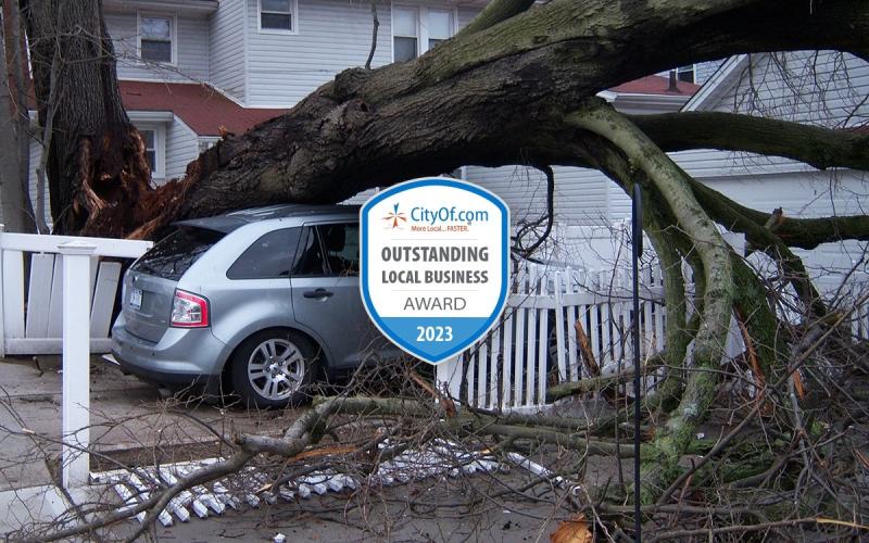 CityOf.com on LinkedIn: Outstanding Local Business Award Recipient for ... CityOf.com on LinkedIn: Outstanding Local Business Award Recipient for ...
