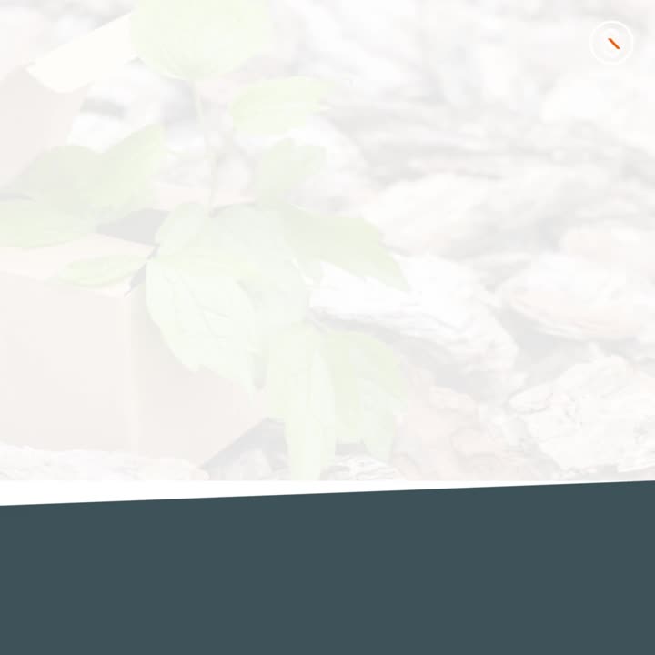 SGS sur LinkedIn : SGS E-book Packaging SGS sur LinkedIn : SGS E-book Packaging