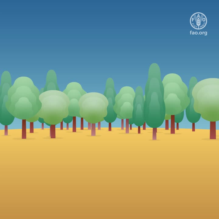 🌲🌳Forests provide more than 86 million green jobs and support the ... 🌲🌳Forests provide more than 86 million green jobs and support the ...