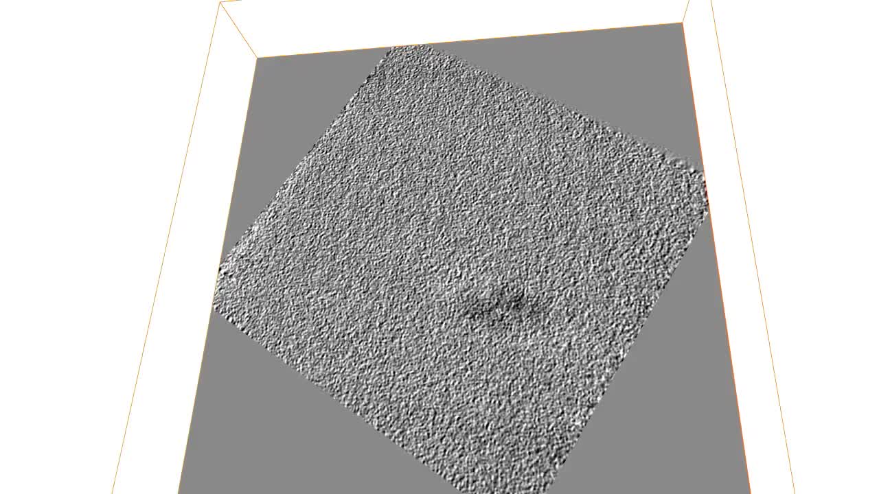 Accelerating Microscopy on LinkedIn: #tomography #lifesciences #microscopy Accelerating Microscopy on LinkedIn: #tomography #lifesciences #microscopy