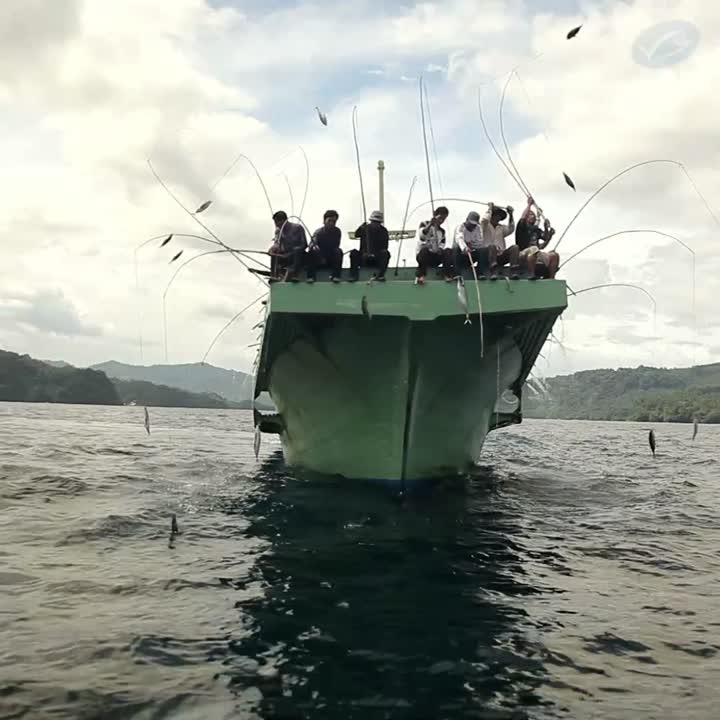 hiren aravind on LinkedIn: 2021 Sustainable seafood trends hiren aravind on LinkedIn: 2021 Sustainable seafood trends