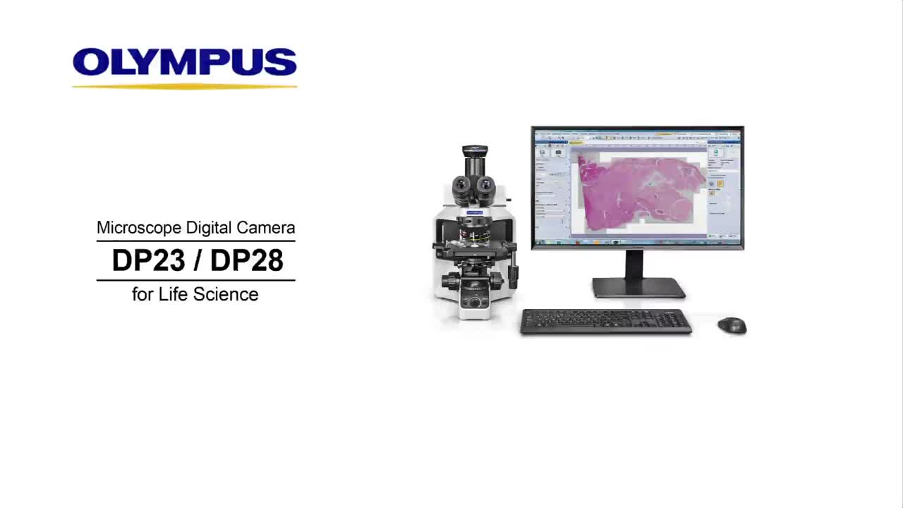 Waseem Aslam on LinkedIn: The DP23 industrial microscope camera ... Waseem Aslam on LinkedIn: The DP23 industrial microscope camera ...