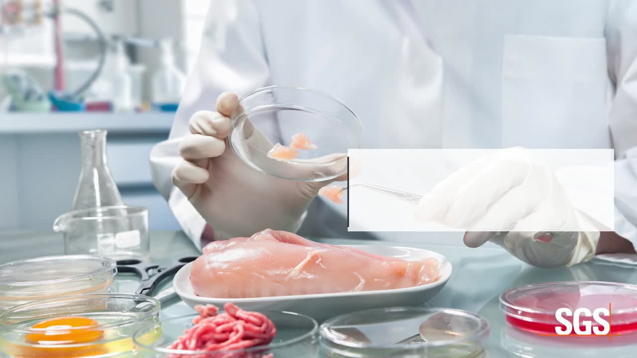 SGS Realize Food Safety Culture Program | SGS SGS Realize Food Safety Culture Program | SGS