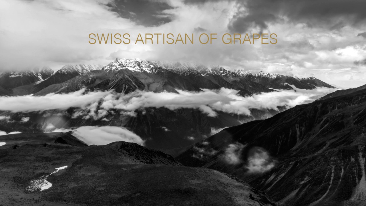 Philibert Frick on LinkedIn: #organicwine #handcrafted #forcesduvivant ... Philibert Frick on LinkedIn: #organicwine #handcrafted #forcesduvivant ...