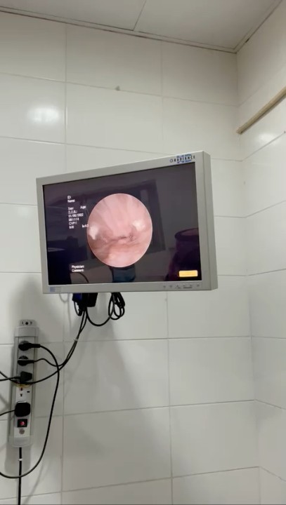 Dr Saad Bin Khalid on LinkedIn: Trichomoniasis in falcon very common ... Dr Saad Bin Khalid on LinkedIn: Trichomoniasis in falcon very common ...