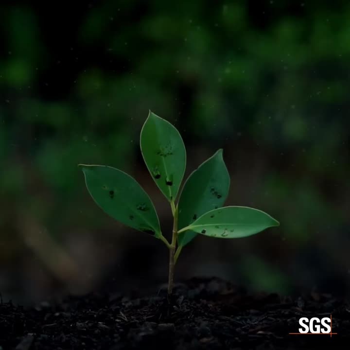 Nauman Rashid on LinkedIn: Advanced Sustainable Biofuels Nauman Rashid on LinkedIn: Advanced Sustainable Biofuels