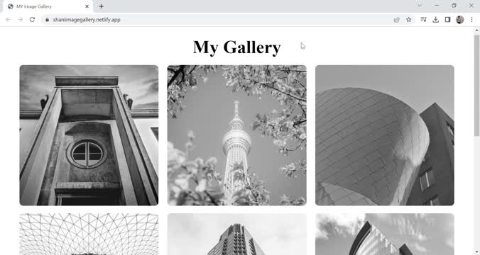 Shani Kumar Gupta on LinkedIn: I created image gallery using HTML and ... Shani Kumar Gupta on LinkedIn: I created image gallery using HTML and ...