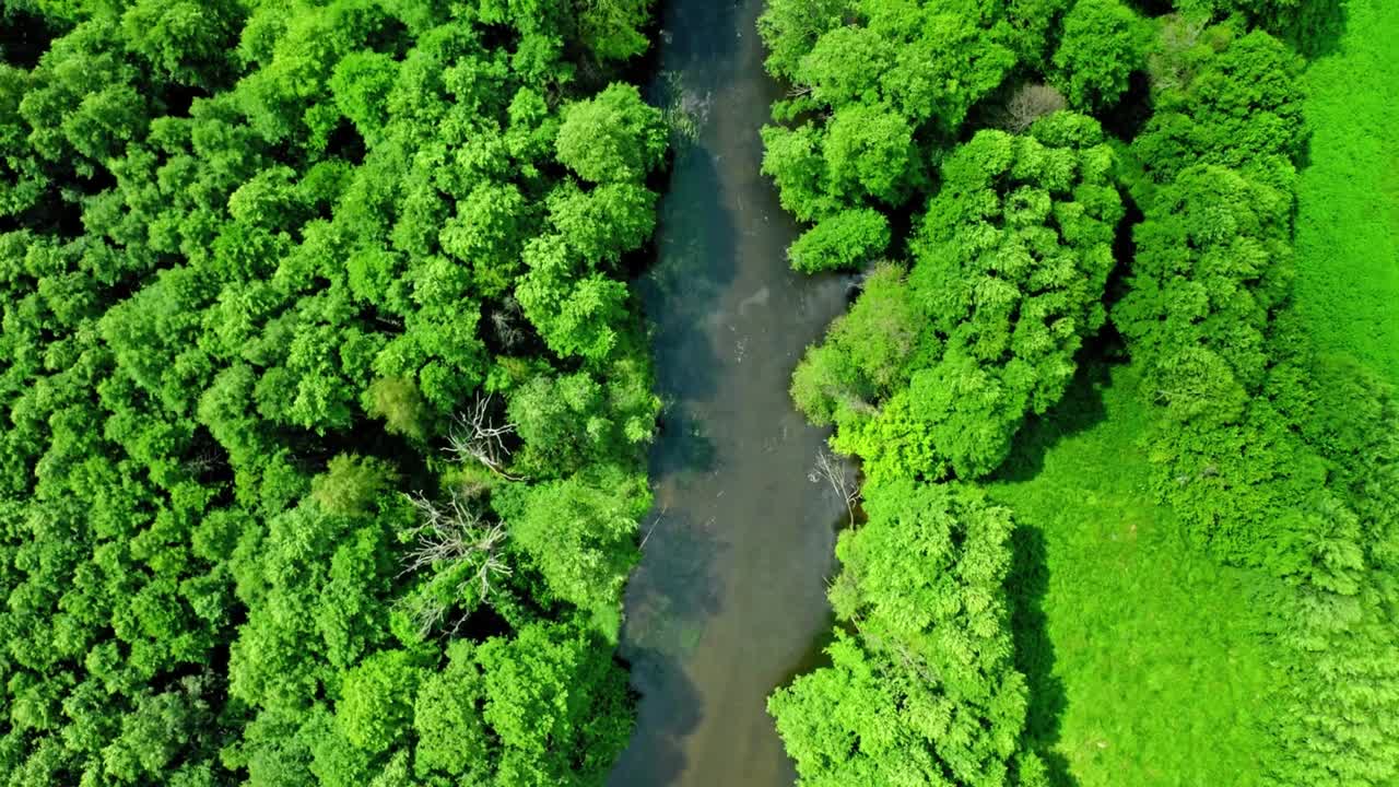 Bureau Veritas Consumer Products Services on LinkedIn: Bureau Veritas ... Bureau Veritas Consumer Products Services on LinkedIn: Bureau Veritas ...