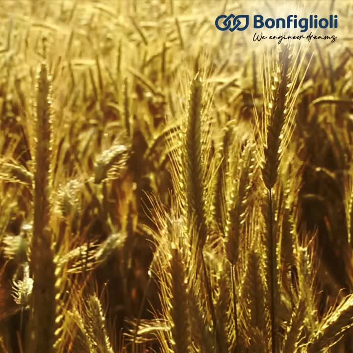 Bonfiglioli India on LinkedIn: #bonfiglioli #makarsankranti #lohri # ... Bonfiglioli India on LinkedIn: #bonfiglioli #makarsankranti #lohri # ...