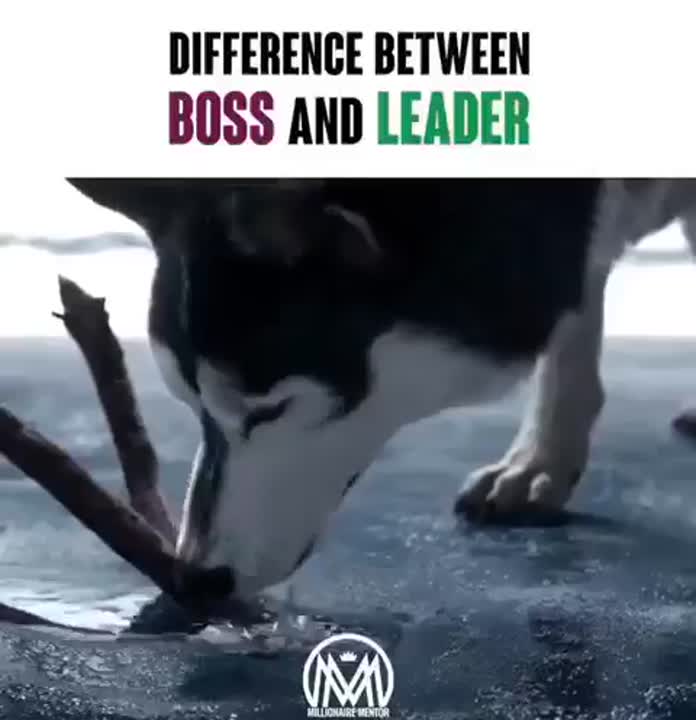 Anurag Krishna Pathak on LinkedIn: Anurag Krishna Pathak on LinkedIn: