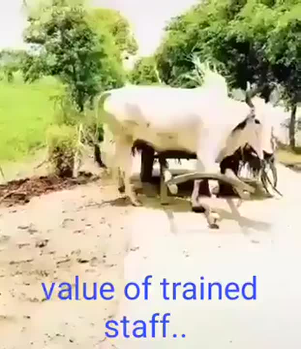 Krishna Pathak posted on LinkedIn Krishna Pathak posted on LinkedIn
